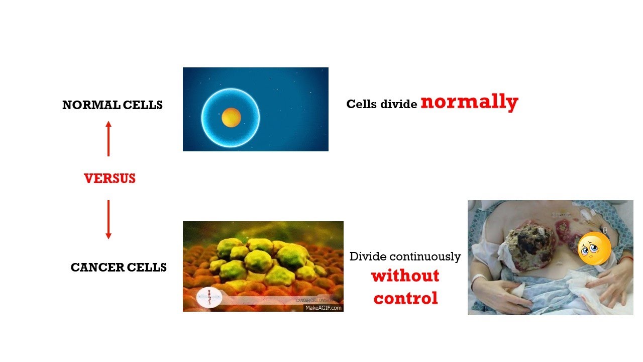 Sains Itu Mudah | DLP Form 1 Chapter 2 Cell as the basic unit of life ...