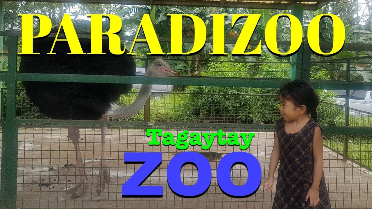 PARADIZOO TAGAYTAY || TAGAYTAY ZOO || PARADIZOO MENDEZ CAVITE - YouTube