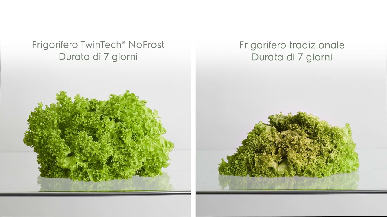 Electrolux - FRIGORIFERO TWINTECH® NO FROST ENT6TE18SX - YouTube