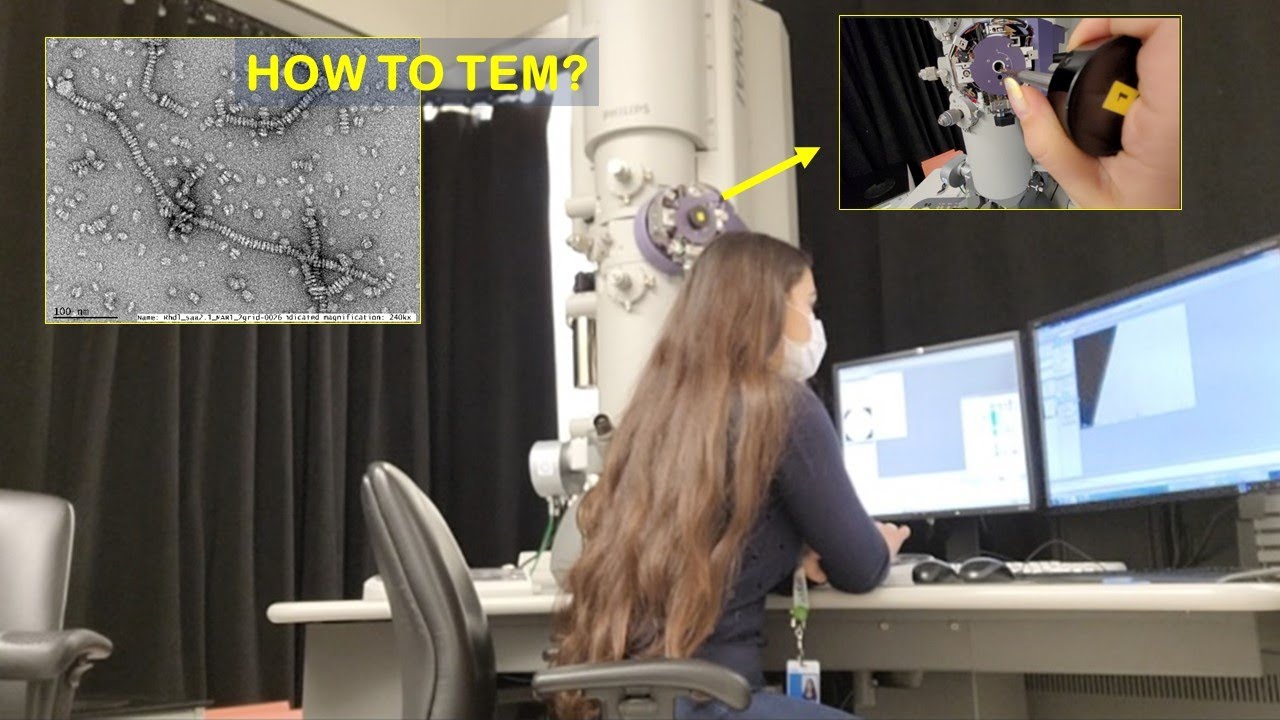 🔬How to use the Transmission Electron Microscope TEM 3 || Practical ...