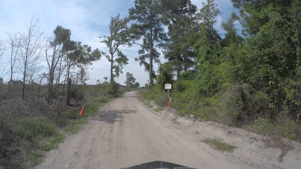 Trx450r Fast Trail Riding - YouTube
