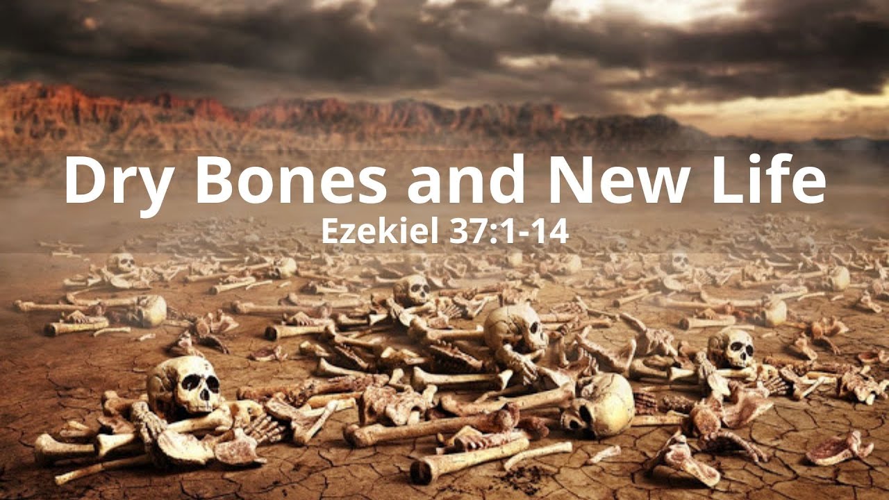 Ezekiel 37:1-14; Message: Lord God, You Know - YouTube