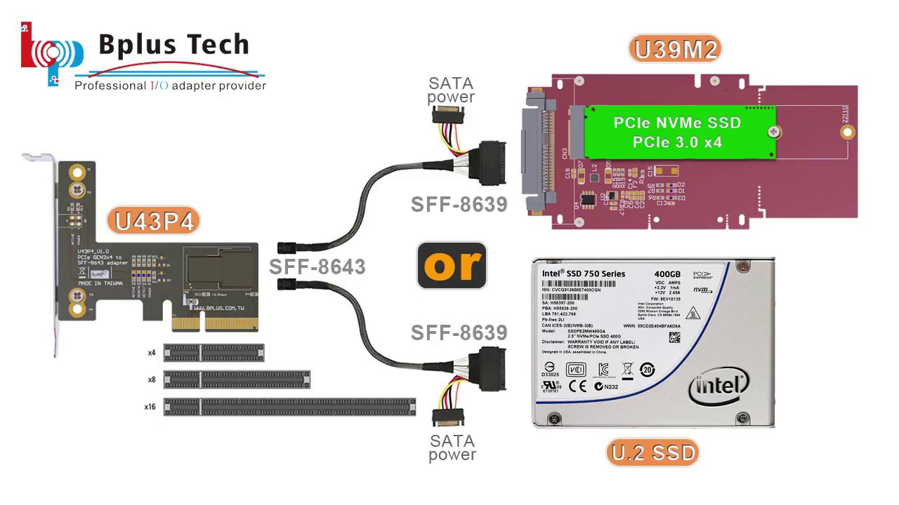 U43P4 (U.2 SFF-8643 to PCIe 3.0 4x adapter) - YouTube