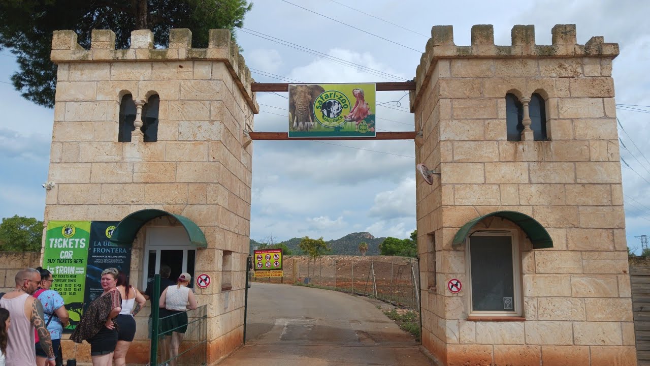 Zoo. Safari. Mallorca. ESPAÑA. Animales Increibles - YouTube
