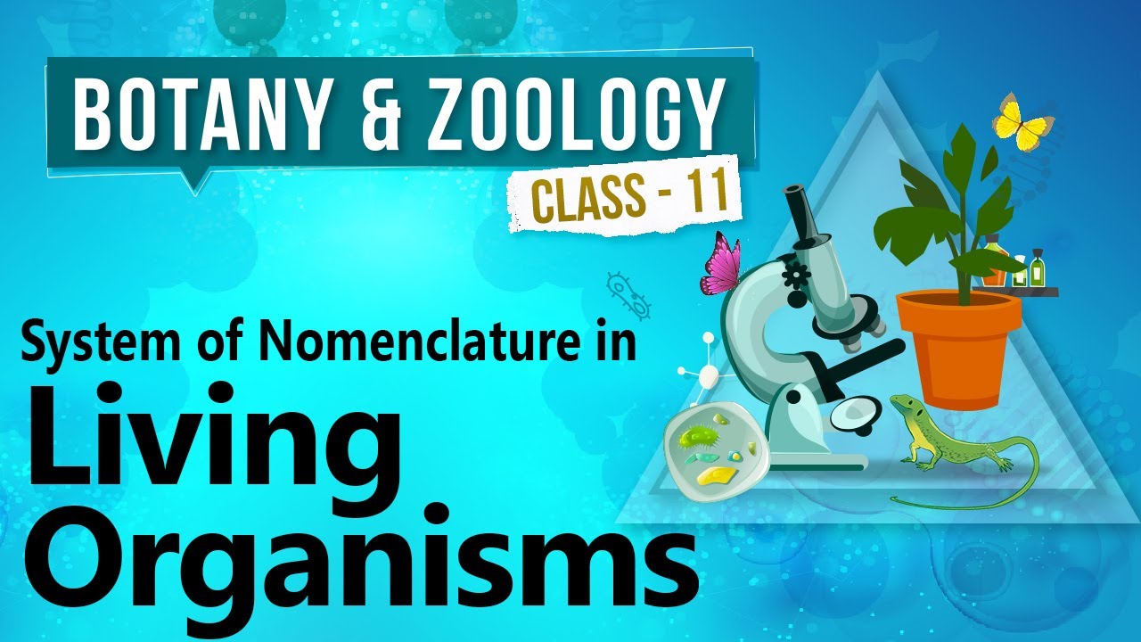 System of Nomenclature in Living Organisms - Diversity in Organisms ...