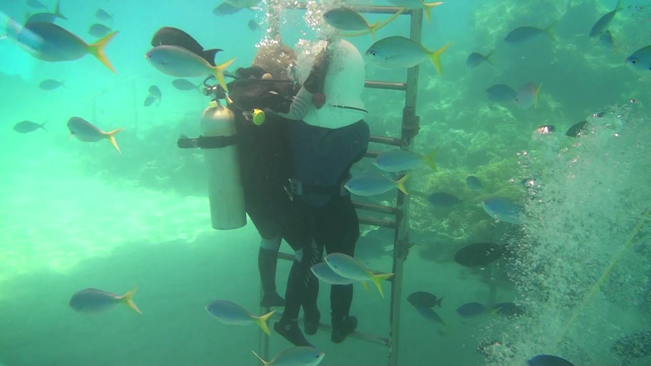 Seawalker in Great Barrier Reef - YouTube