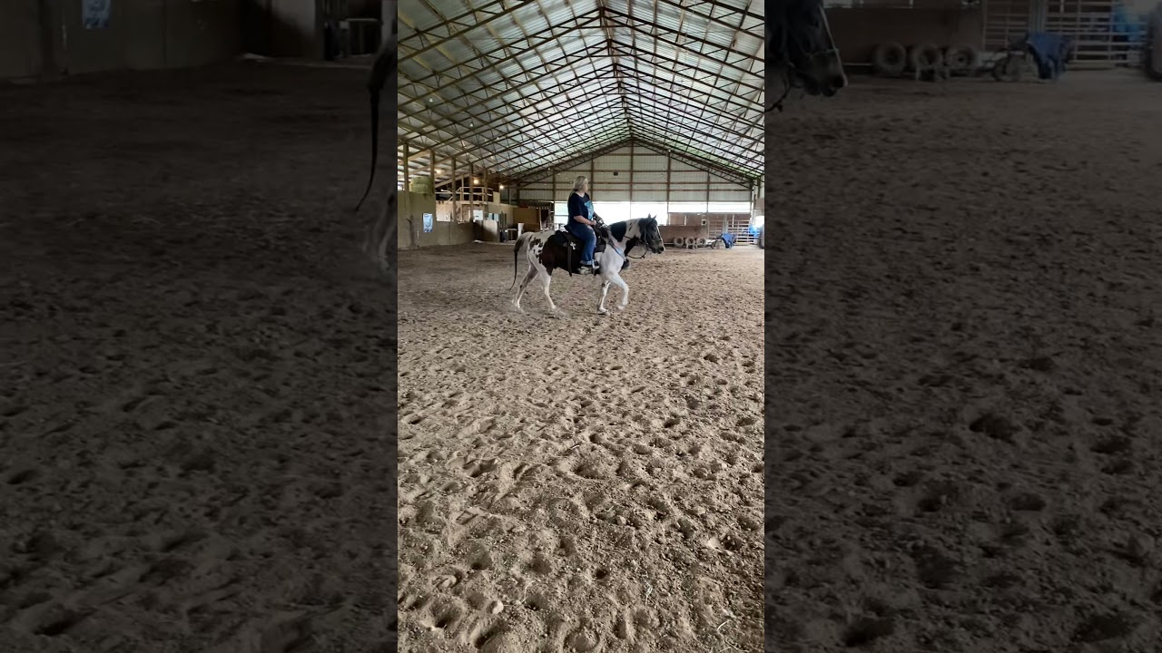 Freckles & Madi Tay - YouTube