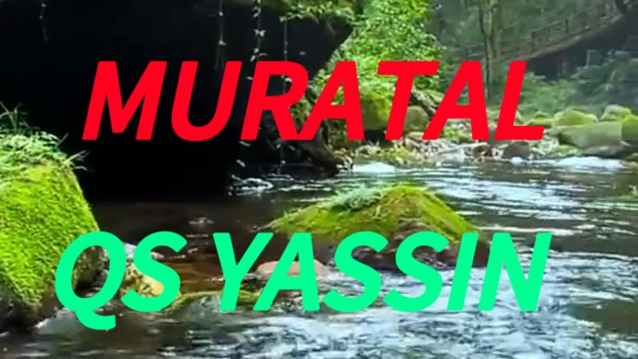MURATAL QS YASSIN@Akhwat_muslimah90 - YouTube