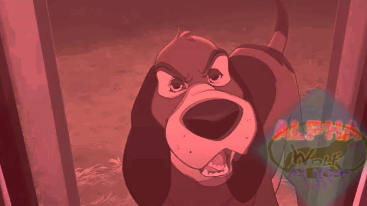 Cash & Dixie - Why - Jason Aldean - YouTube