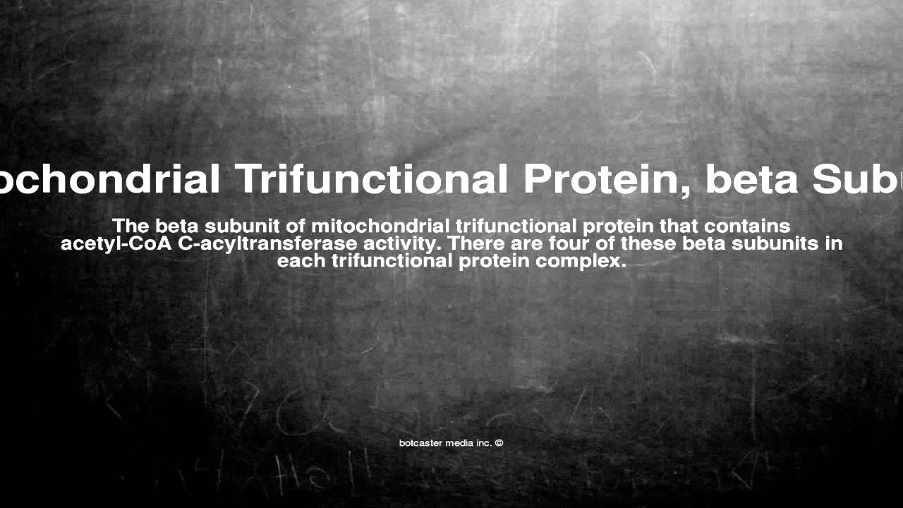Medical vocabulary: What does Mitochondrial Trifunctional Protein, beta ...