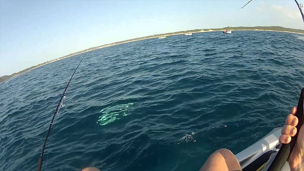 GO FISH TV EPISODE 1- Marlin on a Jet Ski - YouTube