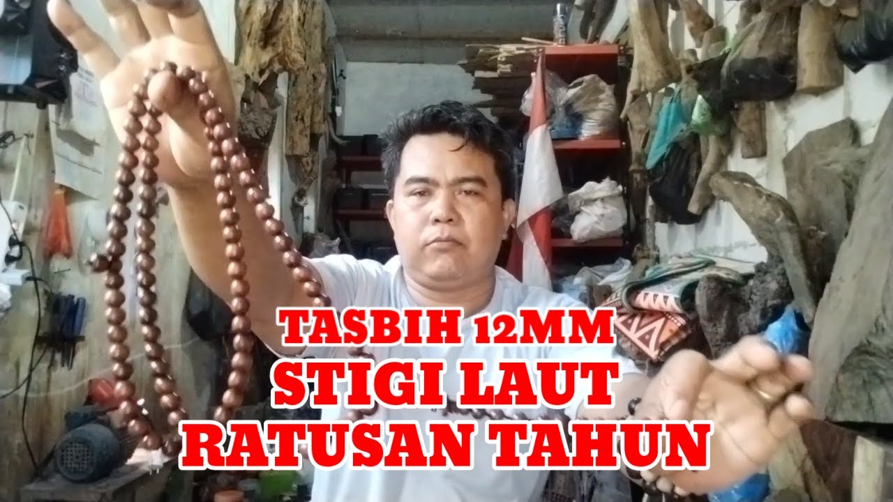 TASBIH DARI STIGI LAUT YANG BERUMUR RATUSAN TAHUN - YouTube
