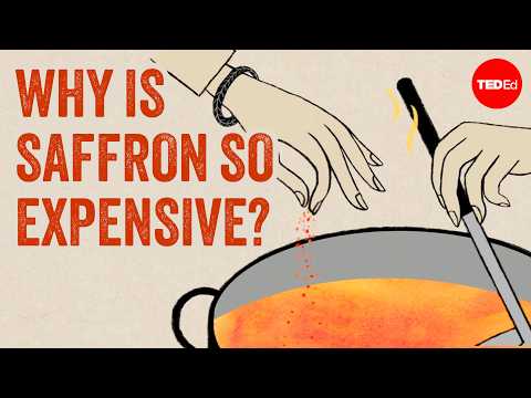 Is this food worth the price? - Carolyn Beans