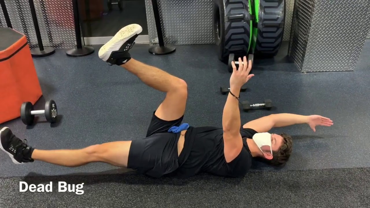Dead Bug - YouTube