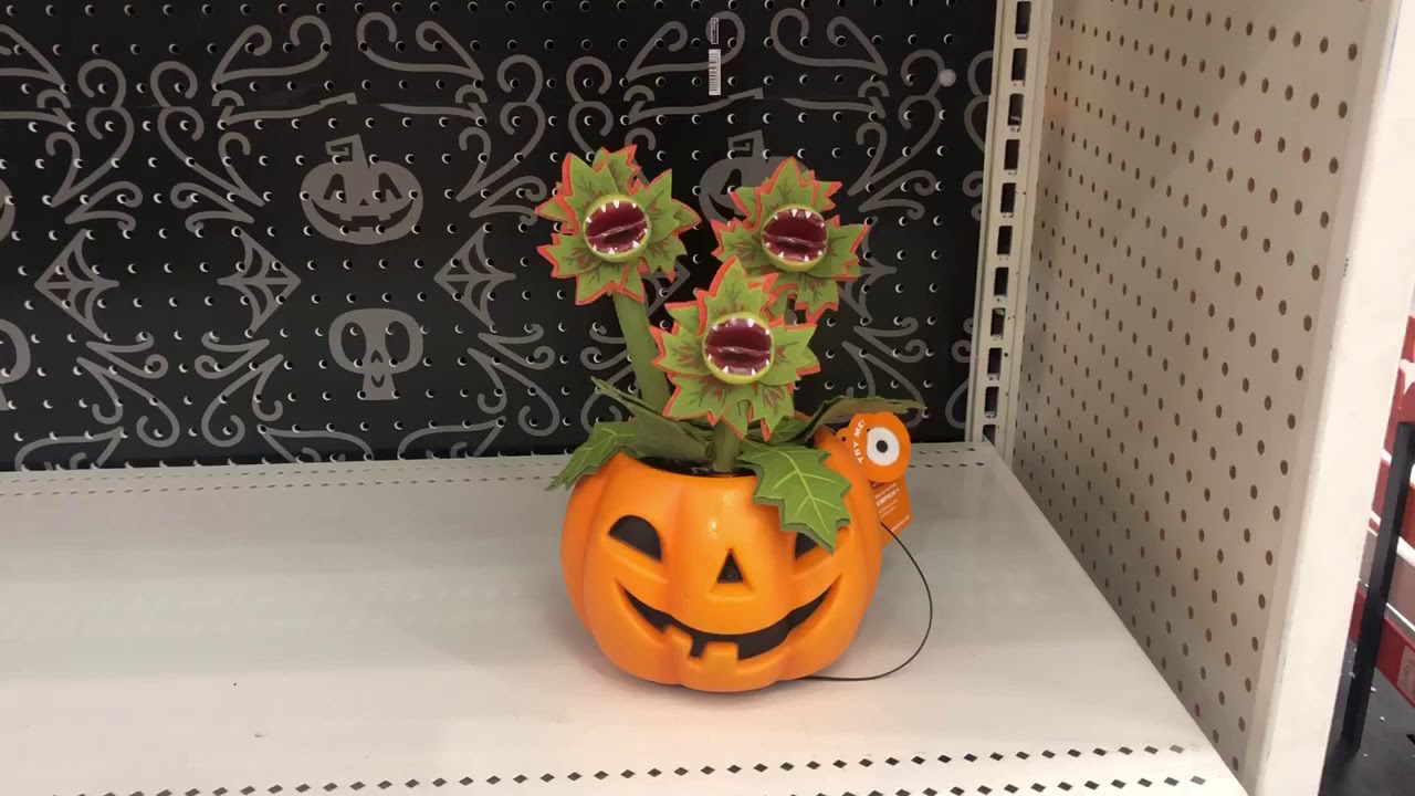 Pumpkin with singing vines - target Halloween 2019 - YouTube