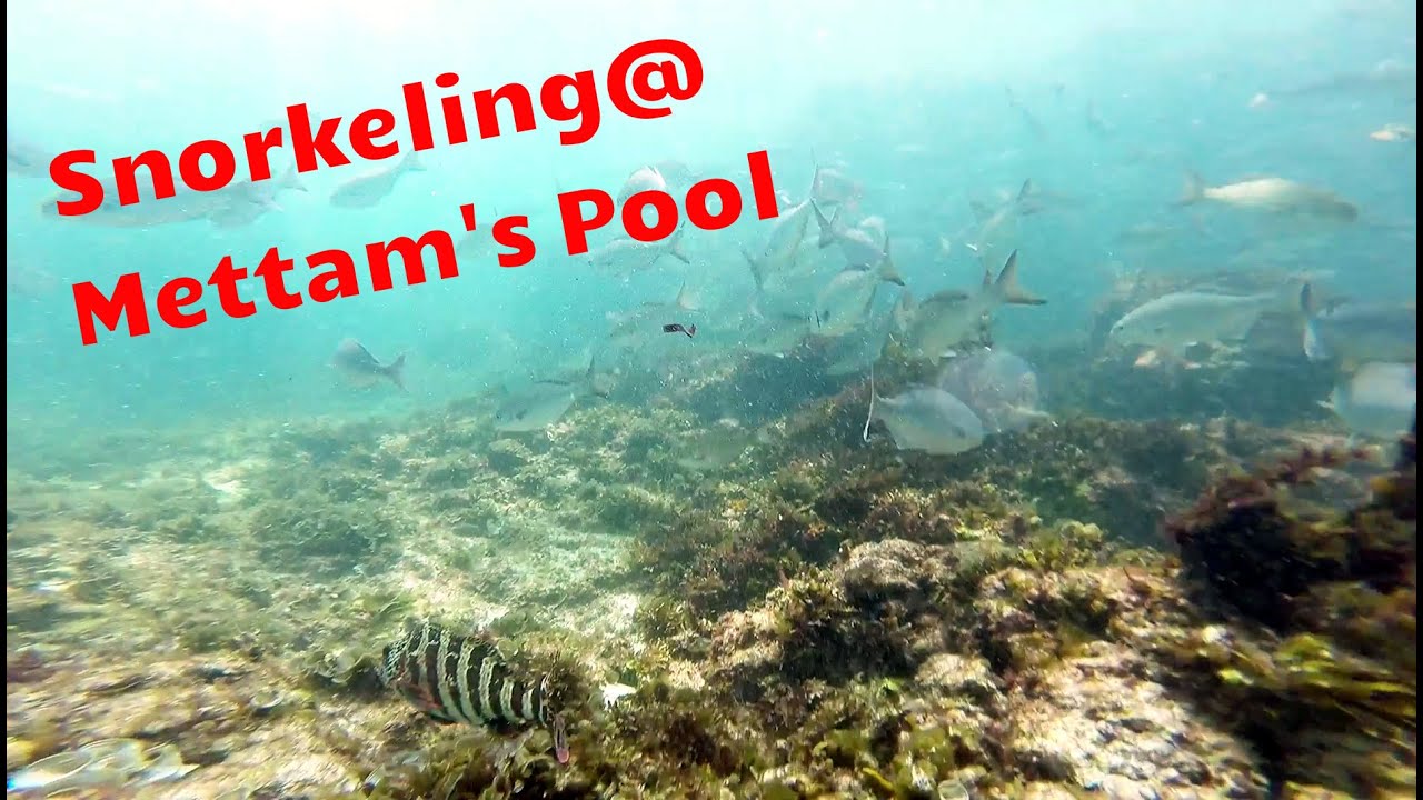 Snorkeling @ Mettams pool - YouTube