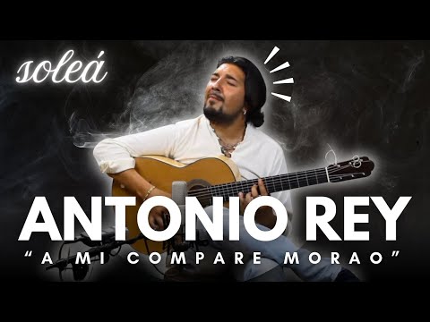 🌙 “A mi compare Morao” · Antonio Rey y una Soleá inolvidable 🔥