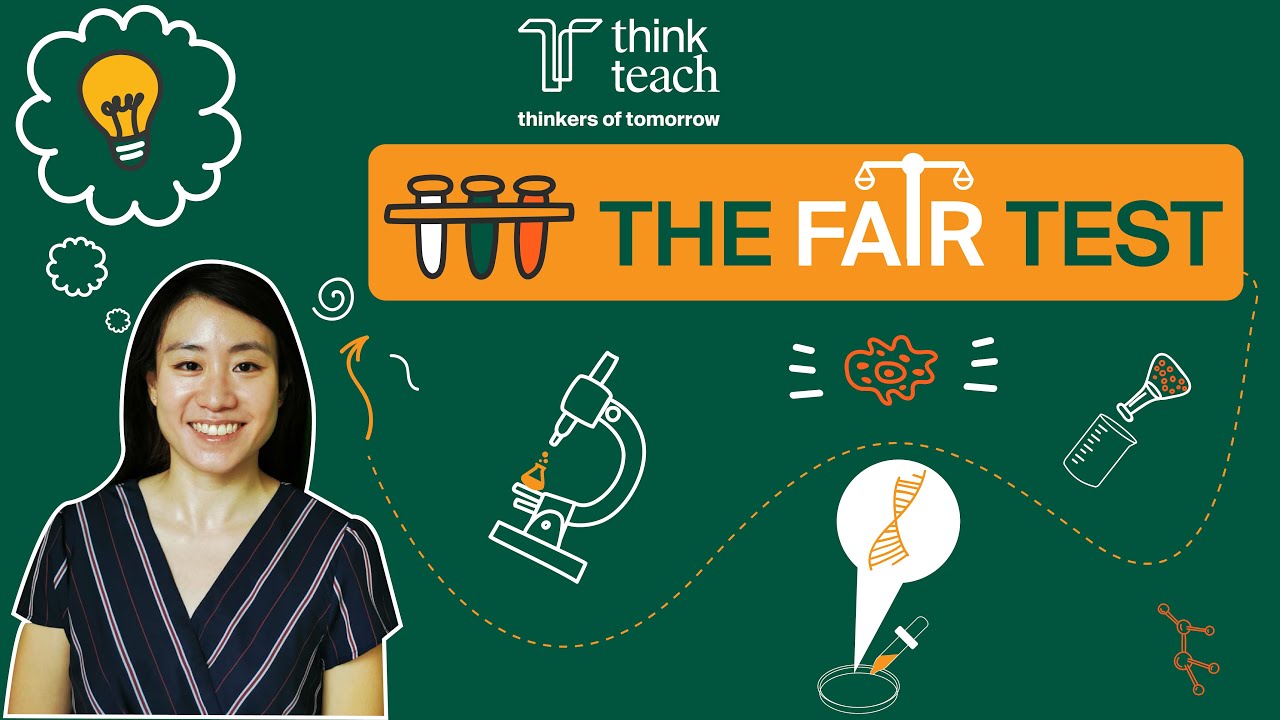 PSLE Science OEQ: Writing Techniques to Ace Fair Test Experiment ...