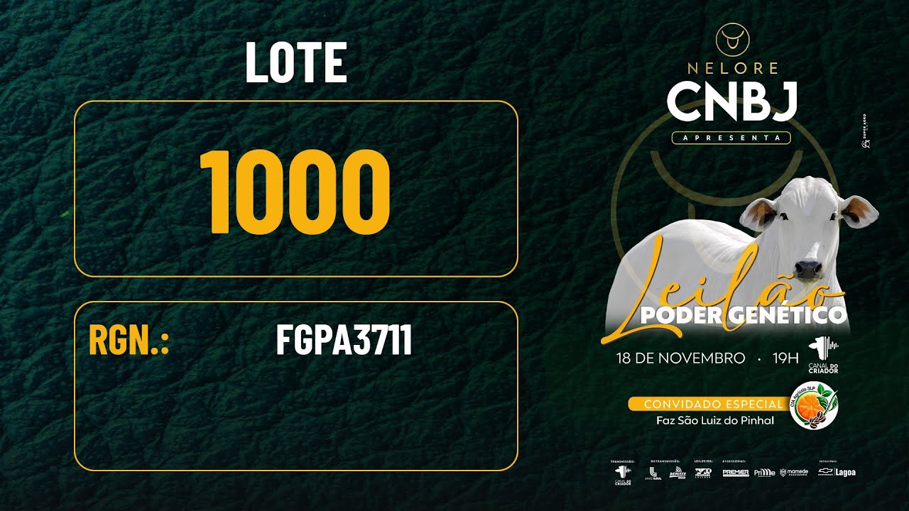 LOTE 1000 ASP 02 FGP A3711 - YouTube