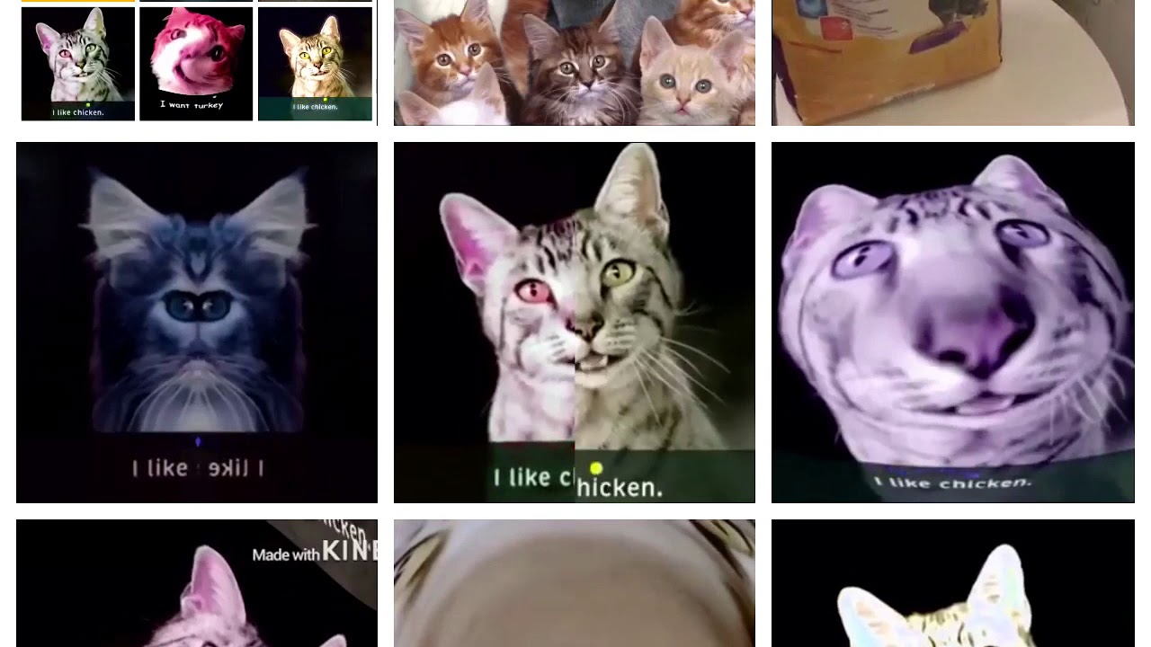 Meow Mix In 68 Different Versions - YouTube