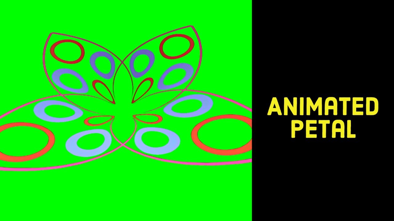 Animated Flower Petal Green Screen - YouTube