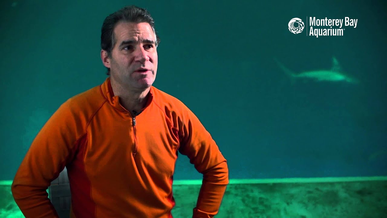 Chef Kerry Heffernan On the Importance of Choosing Sustainable Seafood ...