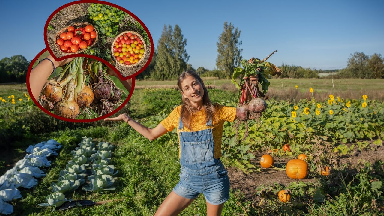 The SECRET for PERFECT Vegetable Garden!? - YouTube