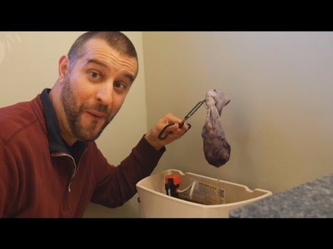 Leaching Acorns In My Toilet Tank!