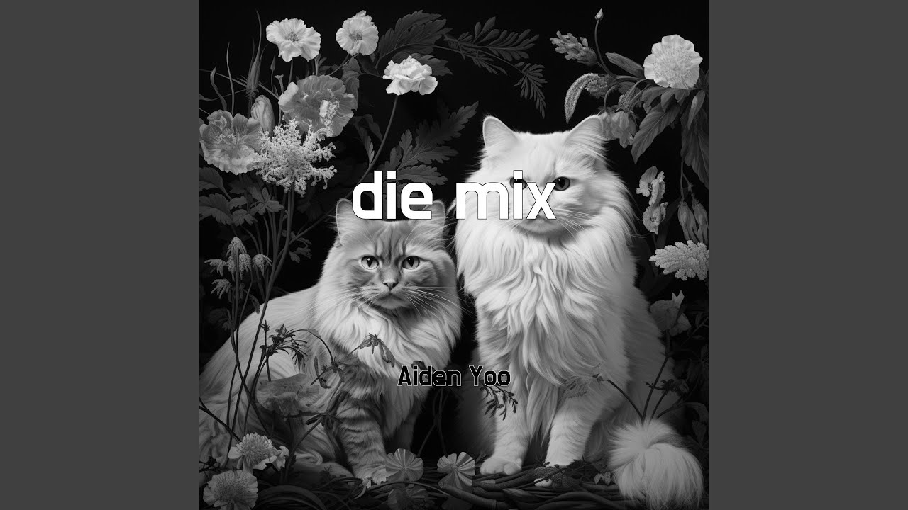 die mix - YouTube