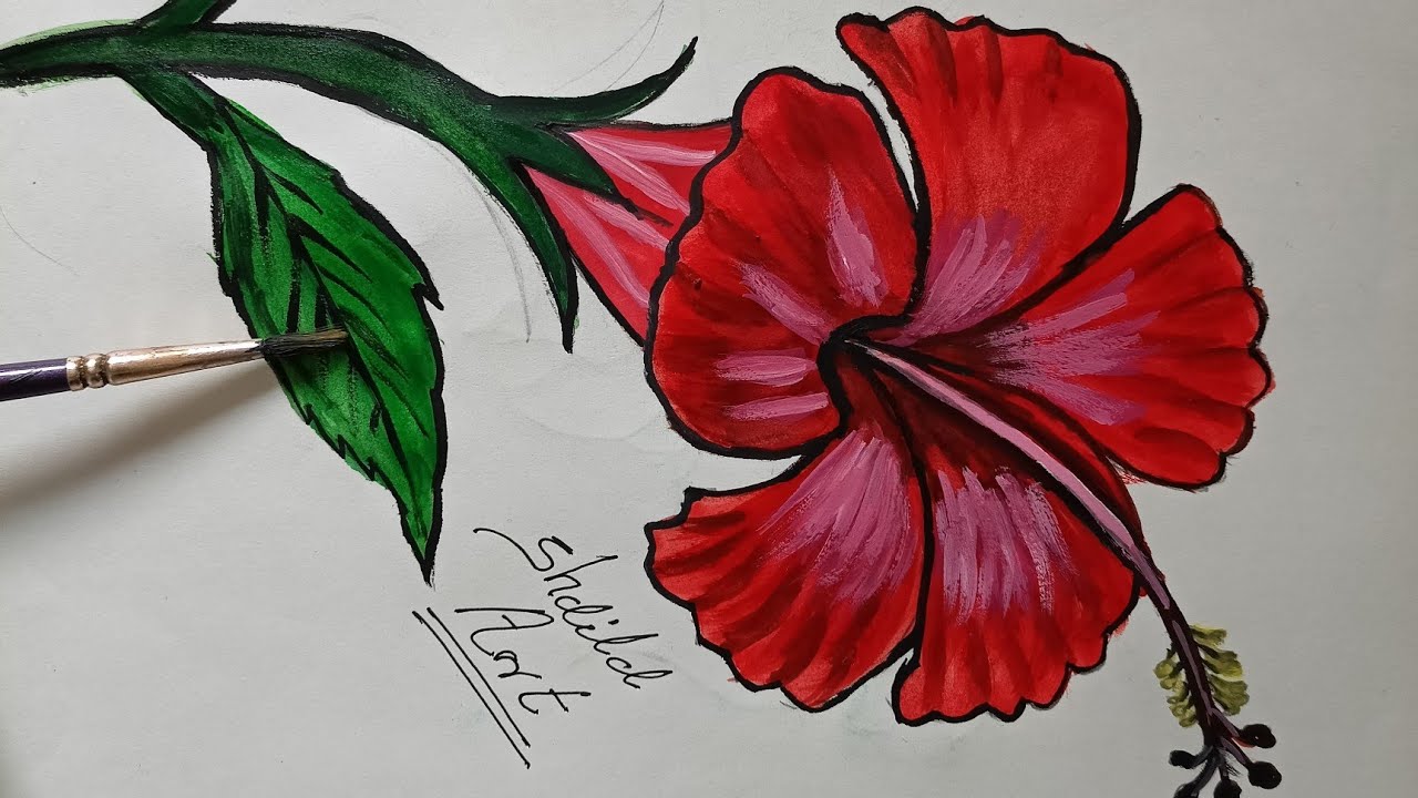 Hibiscus Drawing For Beginners How To Draw Hibiscus Flower With hibiscus-drawing-for-beginners-how-to-draw-hibiscus-flower-with