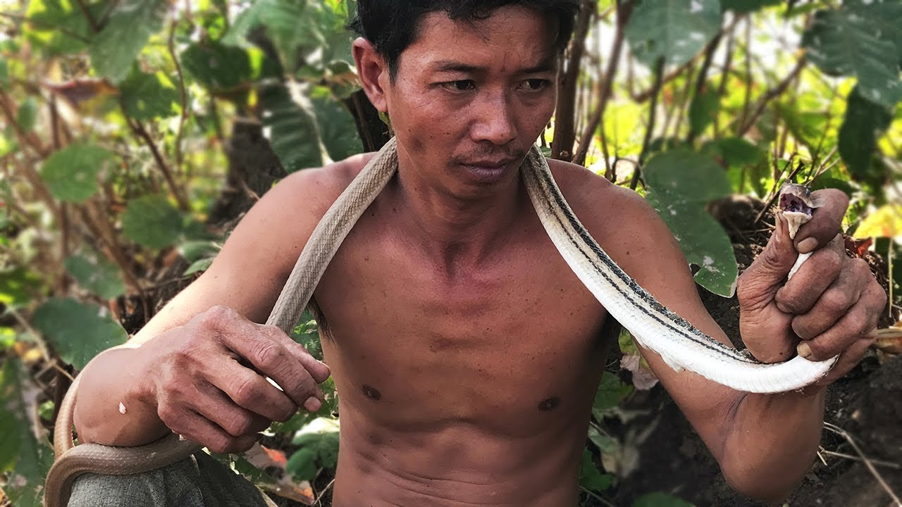 Primitive Technology - Find Snake in the Jungle - YouTube