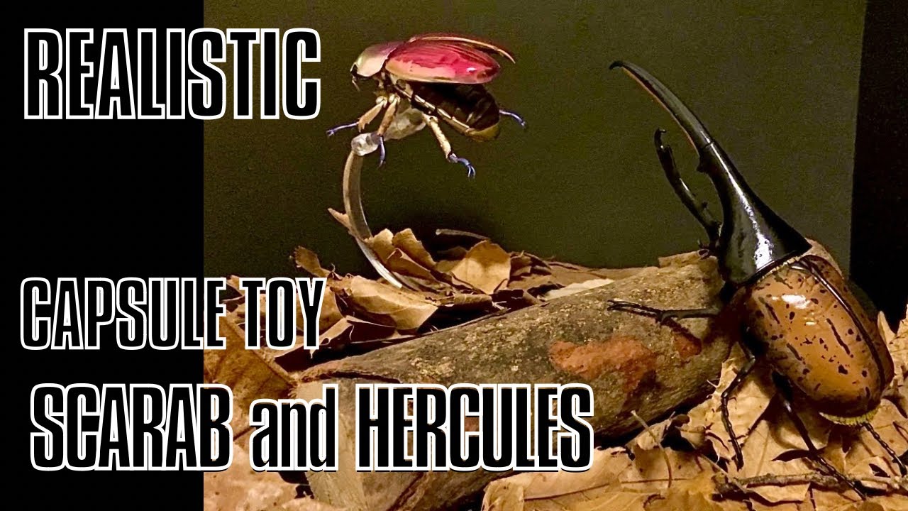 【Opening Japanese capsule toy!】scarab beetle and hercules beetle - YouTube