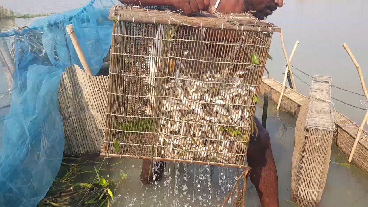 Amazing fishing video with bamboo cage - YouTube