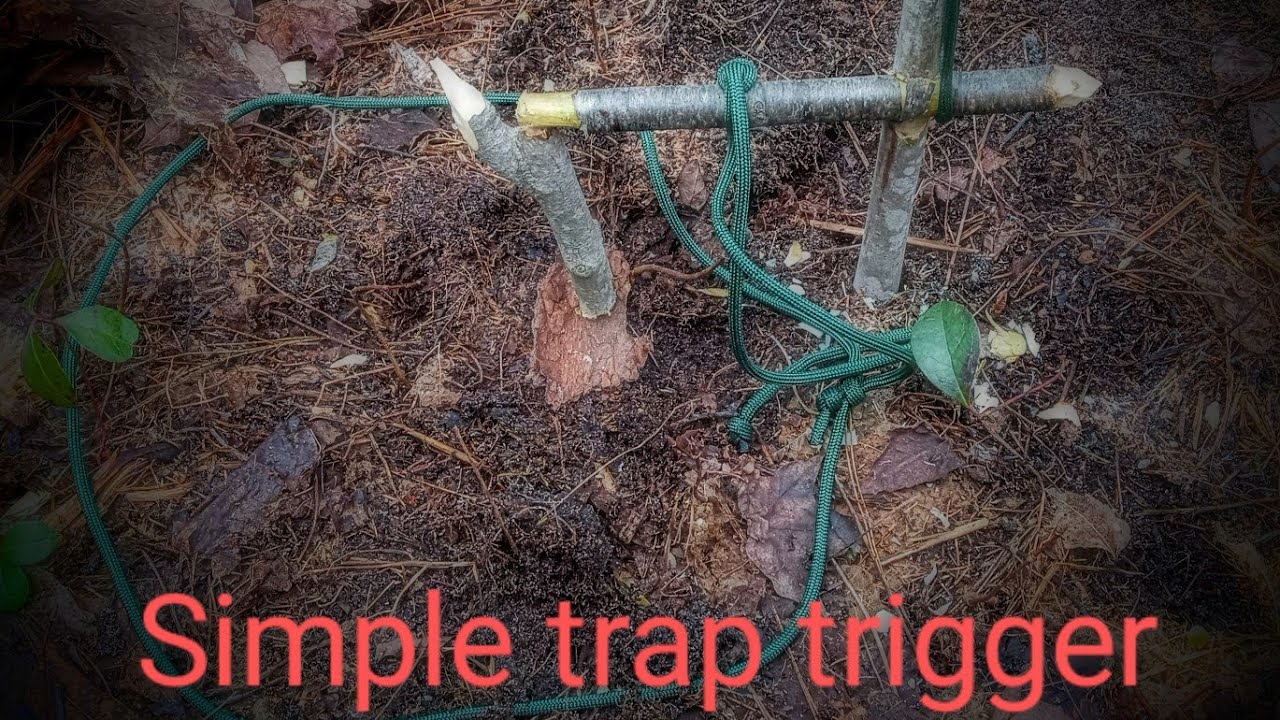Simple primitive trap trigger - YouTube