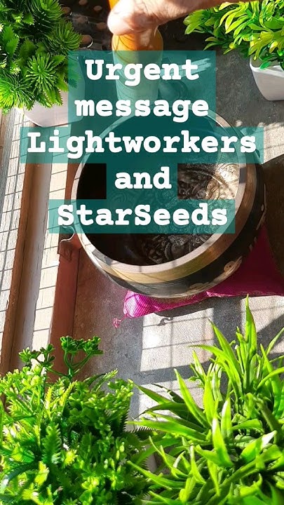 Message for Lightworkers and StarSeeds #shots #singingbowlsoundtherapy #lightworker #starseed ...