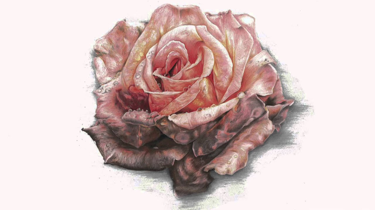 Jaclyn Gee - Feels Right ft. Young Sin (High Quality) - YouTube