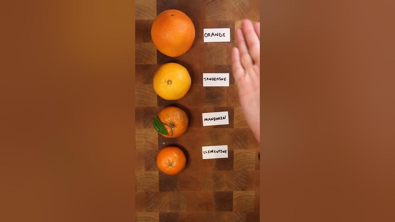 Is there a difference between Orange, Tangerine, Mandarin & Clementine ...