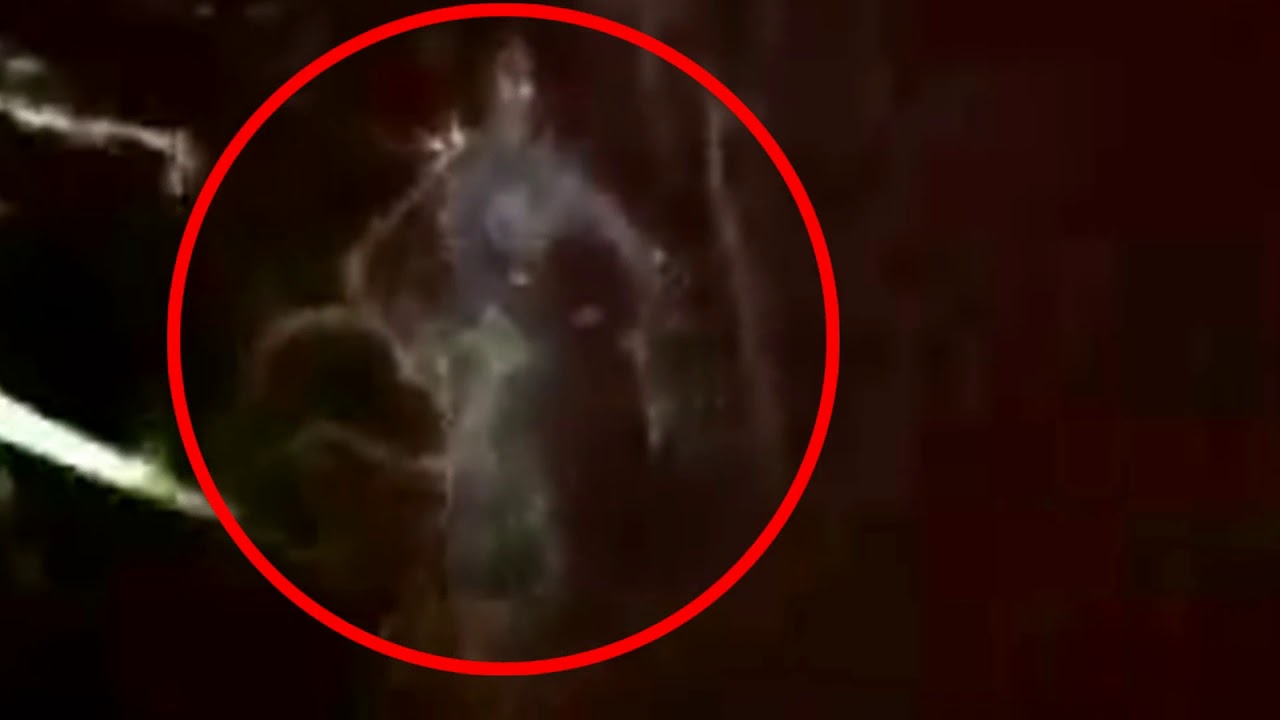 The Country Road Creature sighting in Texas - Trevor Henderson Monster ...