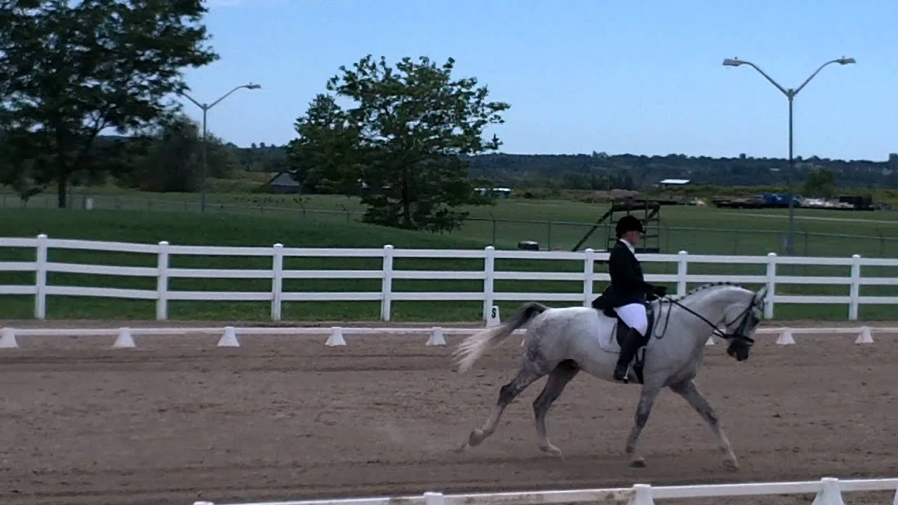 Dressage test: 2nd level test 2 - YouTube