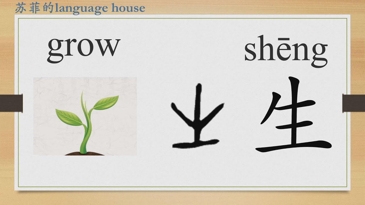Learn Chinese characters from the origin,"生”/HSK 1 words/Beginners ...
