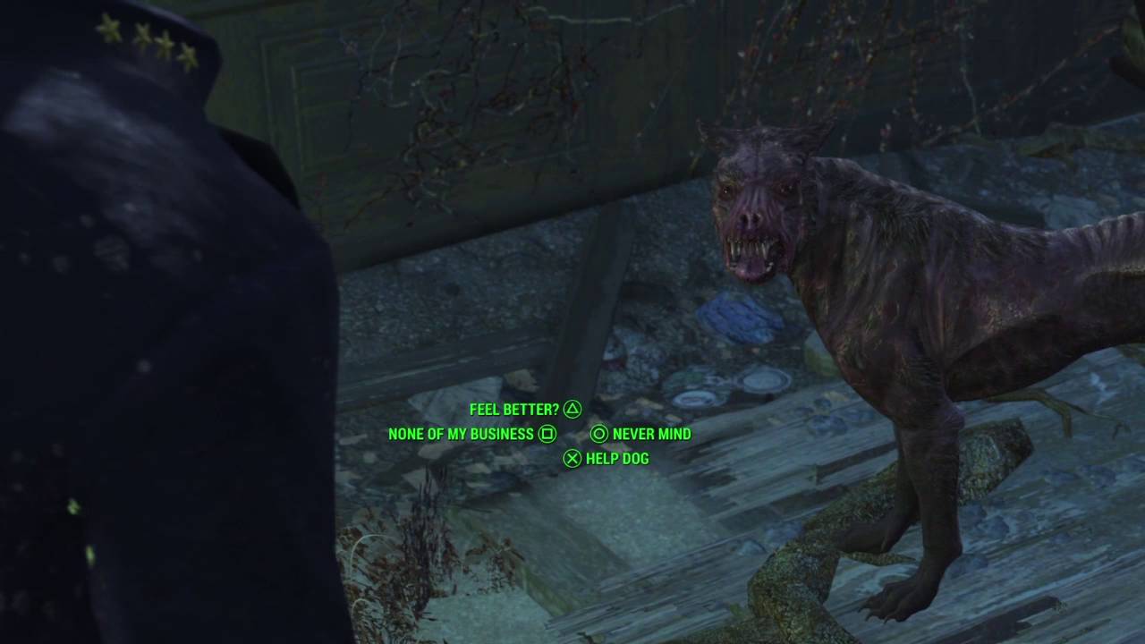 Fallout 4 - Wounded Dog (Random Encounter) - YouTube