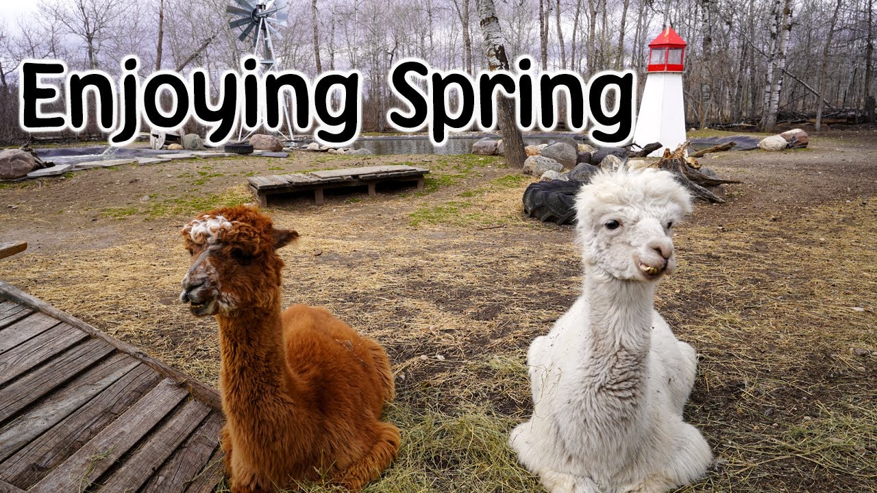 Spring Cleaning and Planting on the Farm VLOG-#463 - YouTube