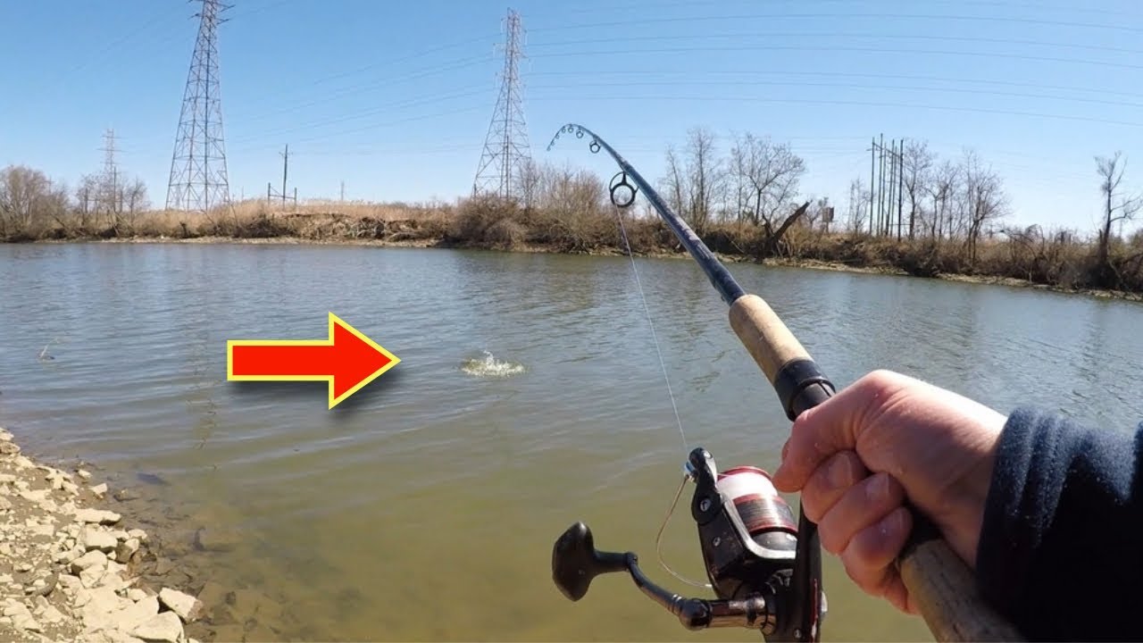 EXPERIENCE the CARP Fight (Carp Fishing Delaware) - YouTube