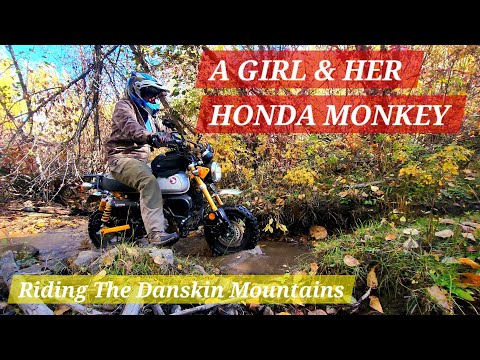 A Girl & Her Honda Monkey - Riding the Danskins 