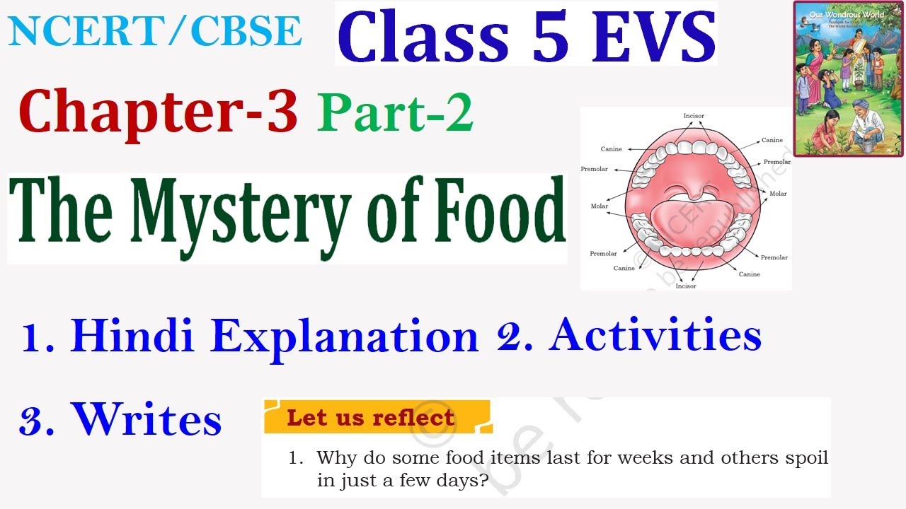 NCERT Class 5 EVS Chapter 3 The Mystery of Food Part-2 Explanation and ...
