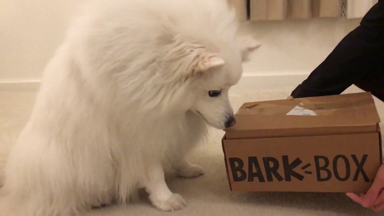 Barkbox Unboxing Review January 2018 - YouTube