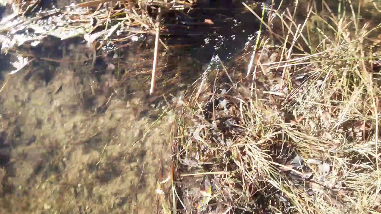 December 11, 2020 - YouTube