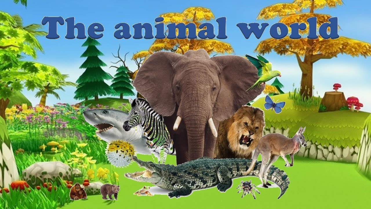 The animal world for kids - YouTube