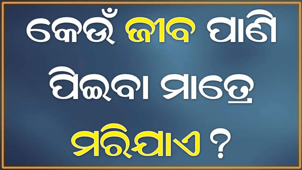 Odia Dhaga Dhamali Prashn || Odia Dhaga Dhamali Question Answer || Odia ...