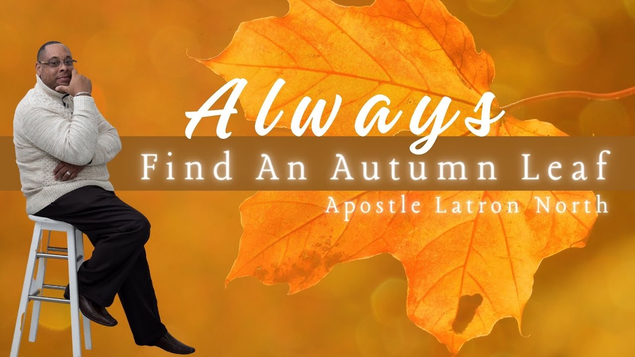 Always Find An Autumn Leaf, Apostle Latron North, 11 9 23 - YouTube